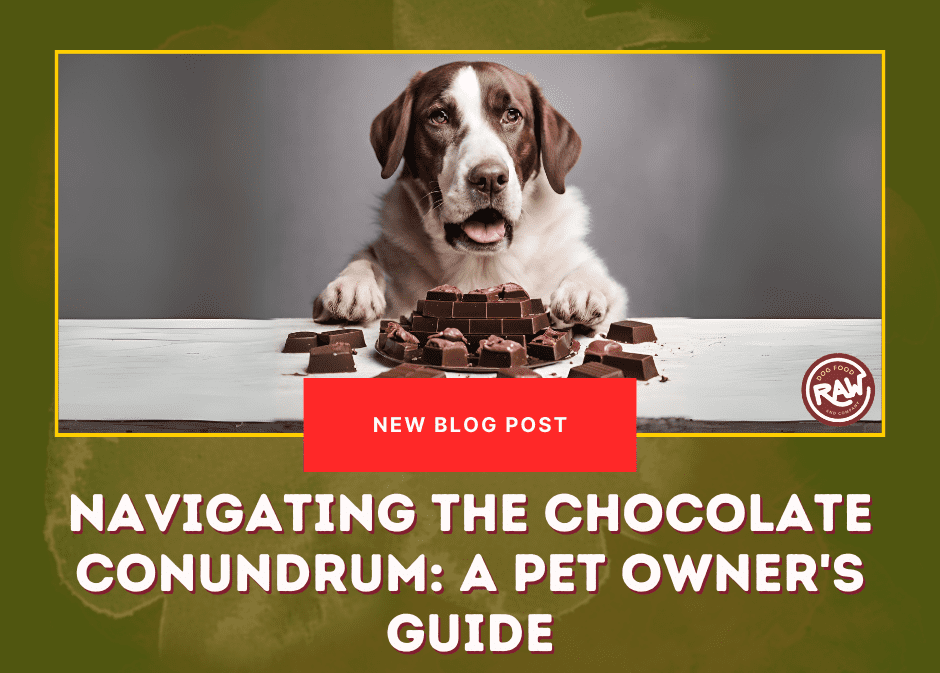 Navigating the Chocolate Conundrum: A Pet Owner's Guide - Raw Dog Food ...
