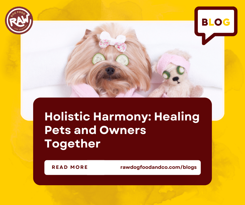 Holistic Harmony: Healing Pets and Owners Together - Raw Dog Food and ...