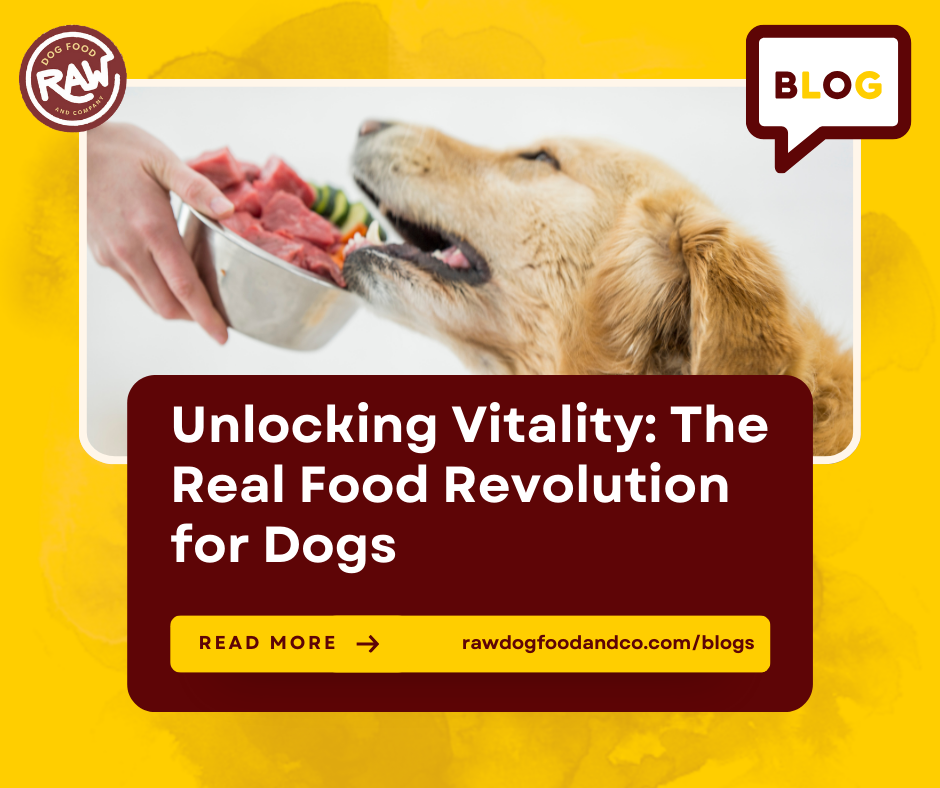 Unlocking Vitality: The Real Food Revolution for Dogs - Raw Dog Food ...