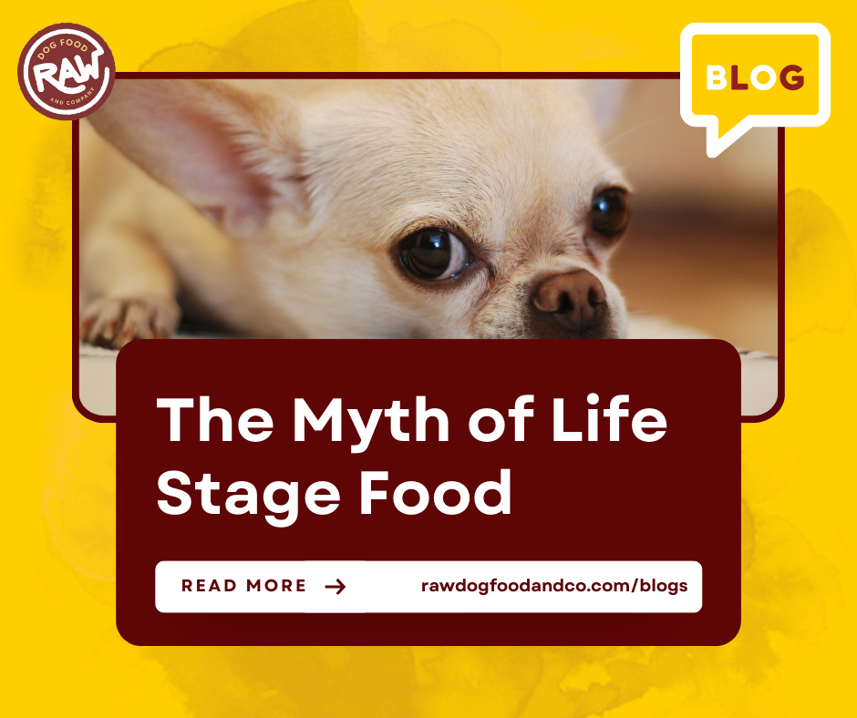 The Myth of Life Stage Food - Raw Dog Food and Company
