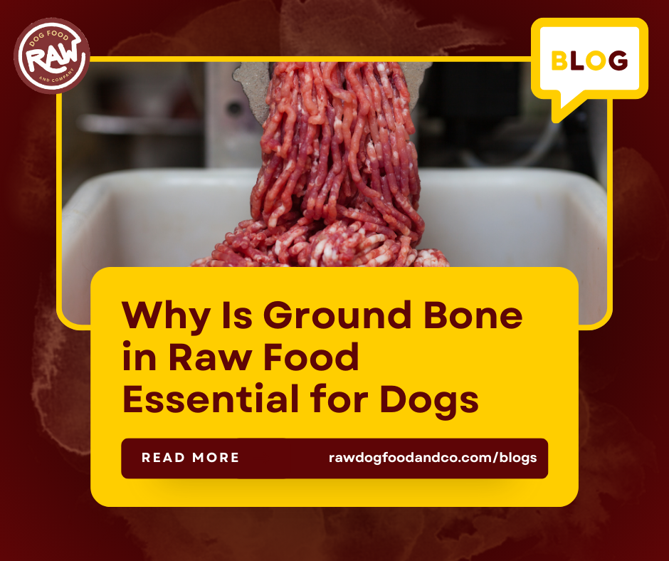 Why Is Bone in Raw Food Essential for Dogs? - Raw Dog Food and Company